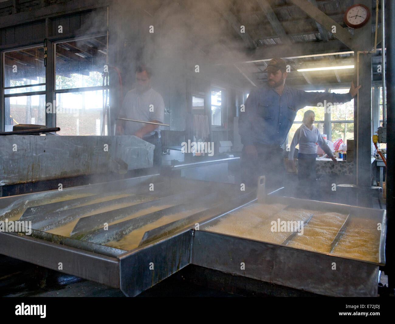 USA - Tennessee - Muddy Pond - Processing sorghum at Muddy Pond, a ...
