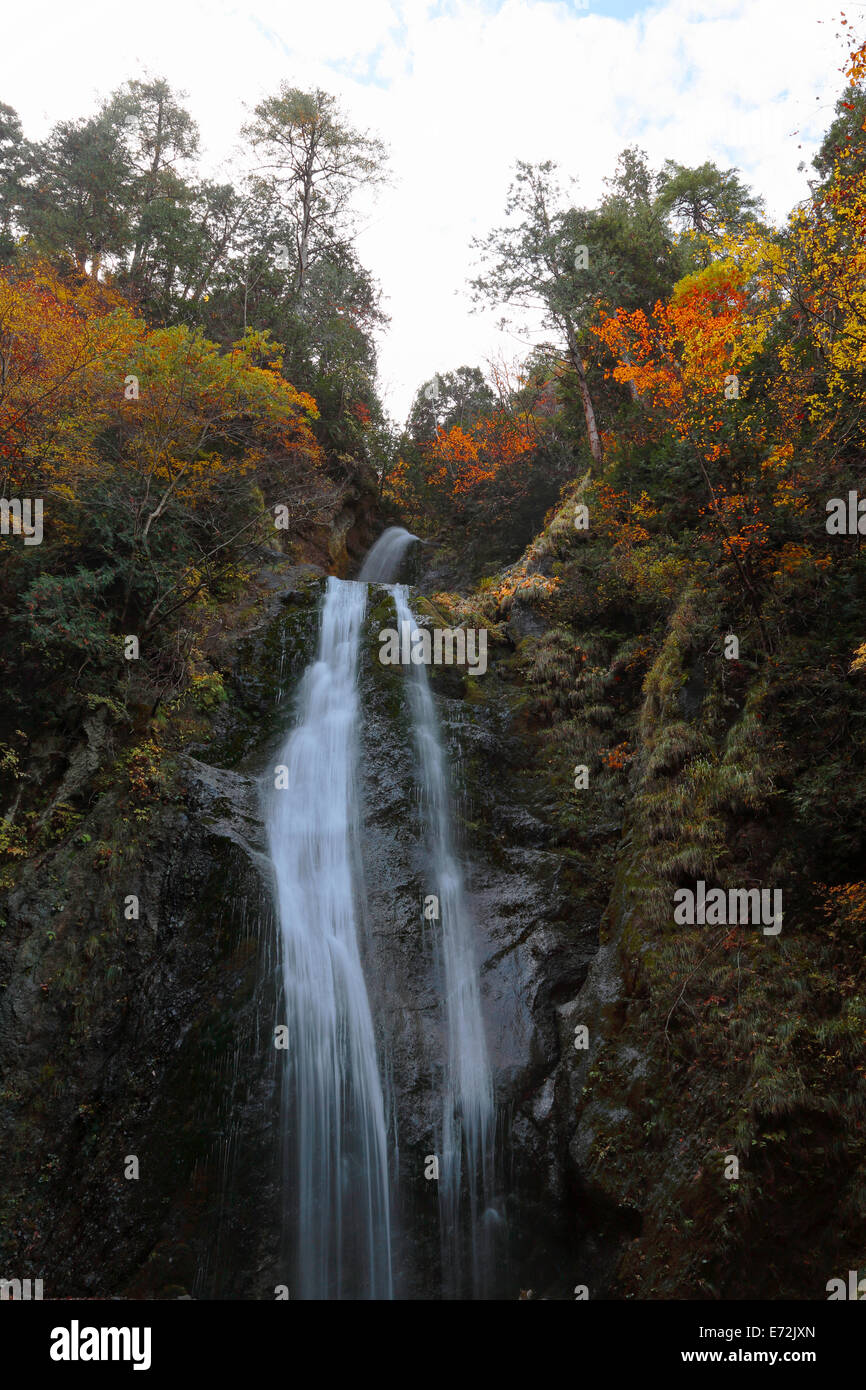 Kurokuma hi-res stock photography and images - Alamy