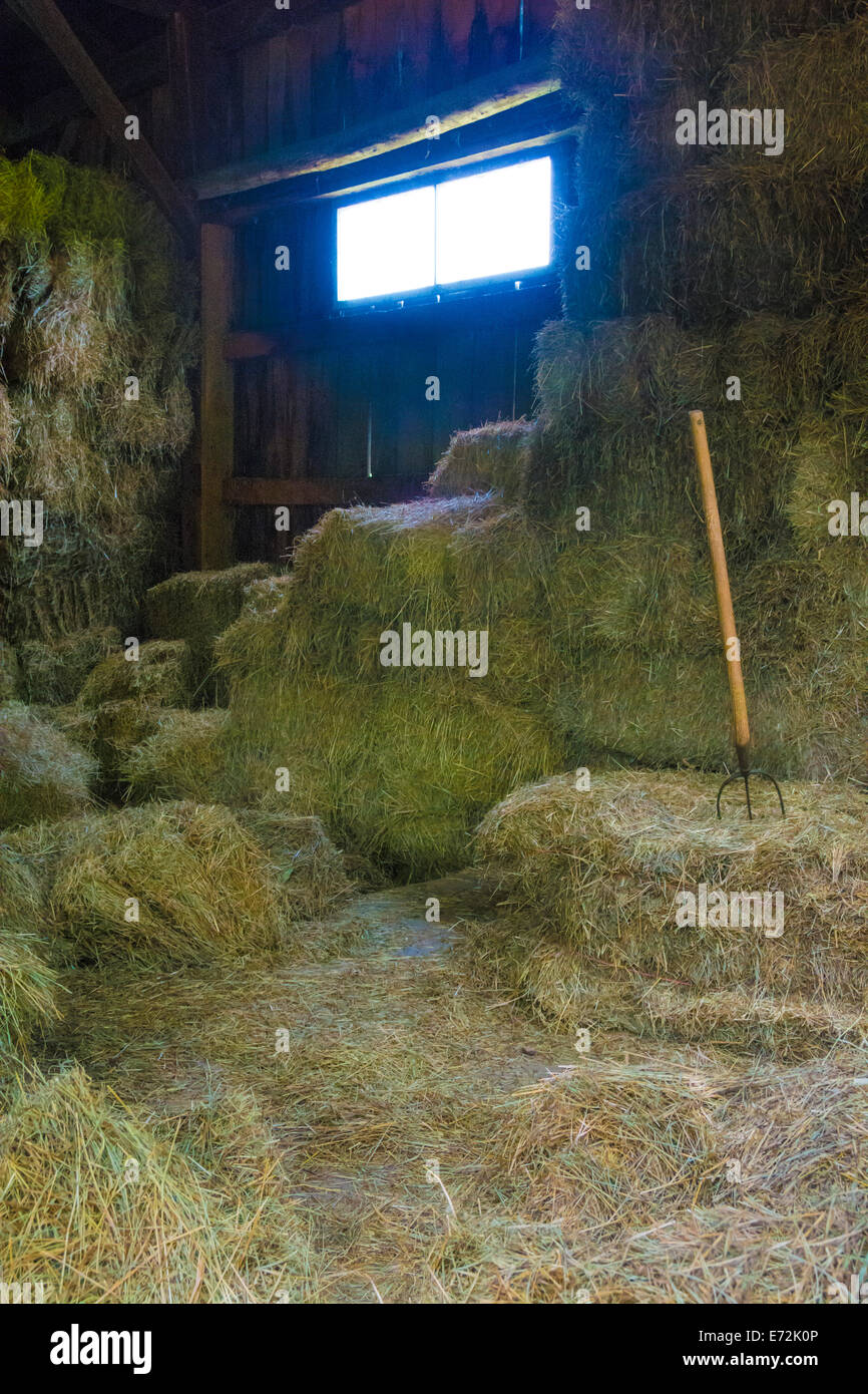Stacked in window hi-res stock photography and images - Alamy