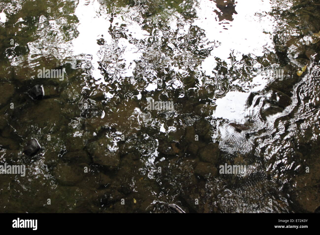 Reflection in the water Stock Photo - Alamy