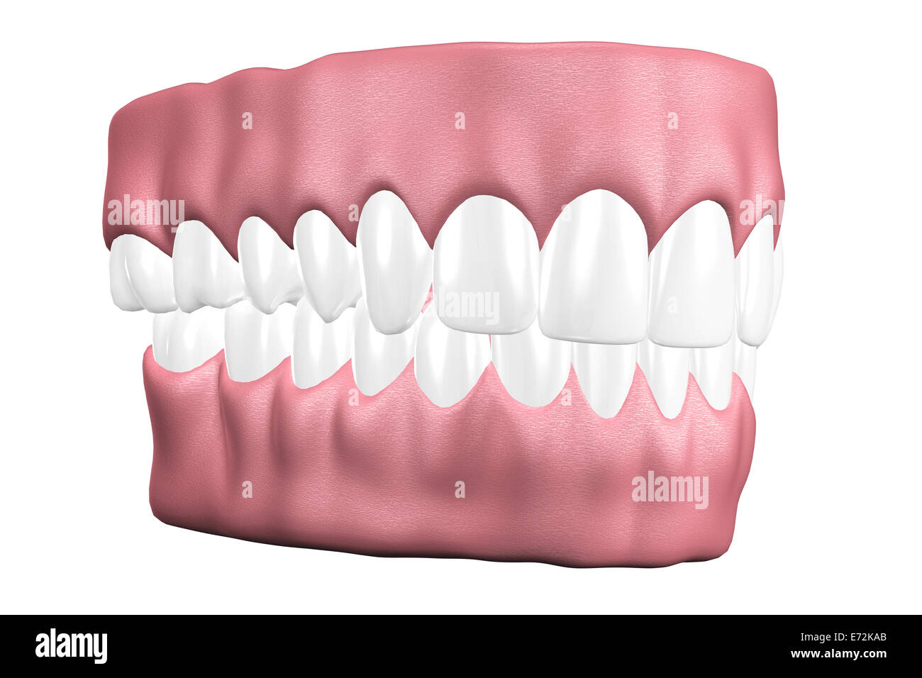 3D teeth close up on white background Stock Photo - Alamy
