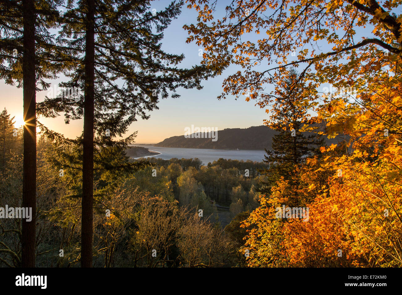 Looking up the columbia river hi-res stock photography and images - Alamy