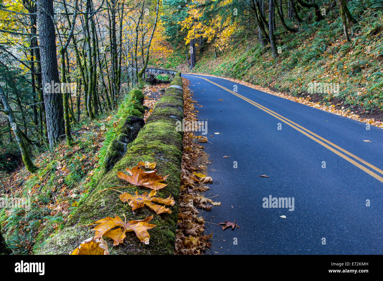 Historic Highway 30 winds through the Columbia Gorge National Scenic ...