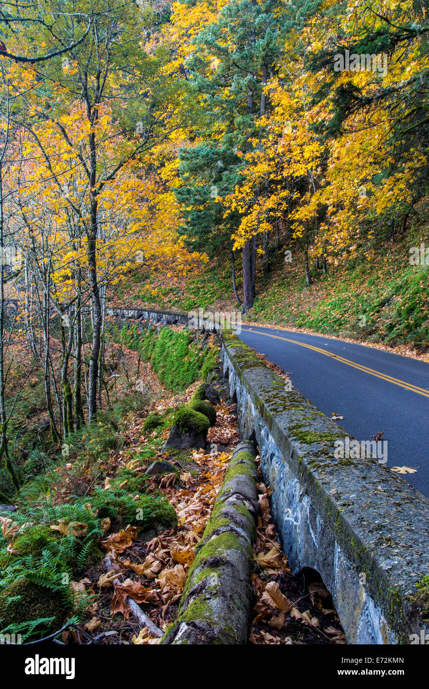 Historic Highway 30 winds through the Columbia Gorge National Scenic ...