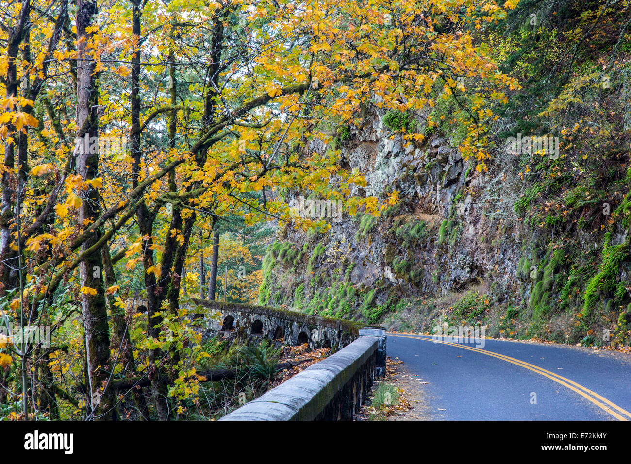 Historic Highway 30 winds through the Columbia Gorge National Scenic ...