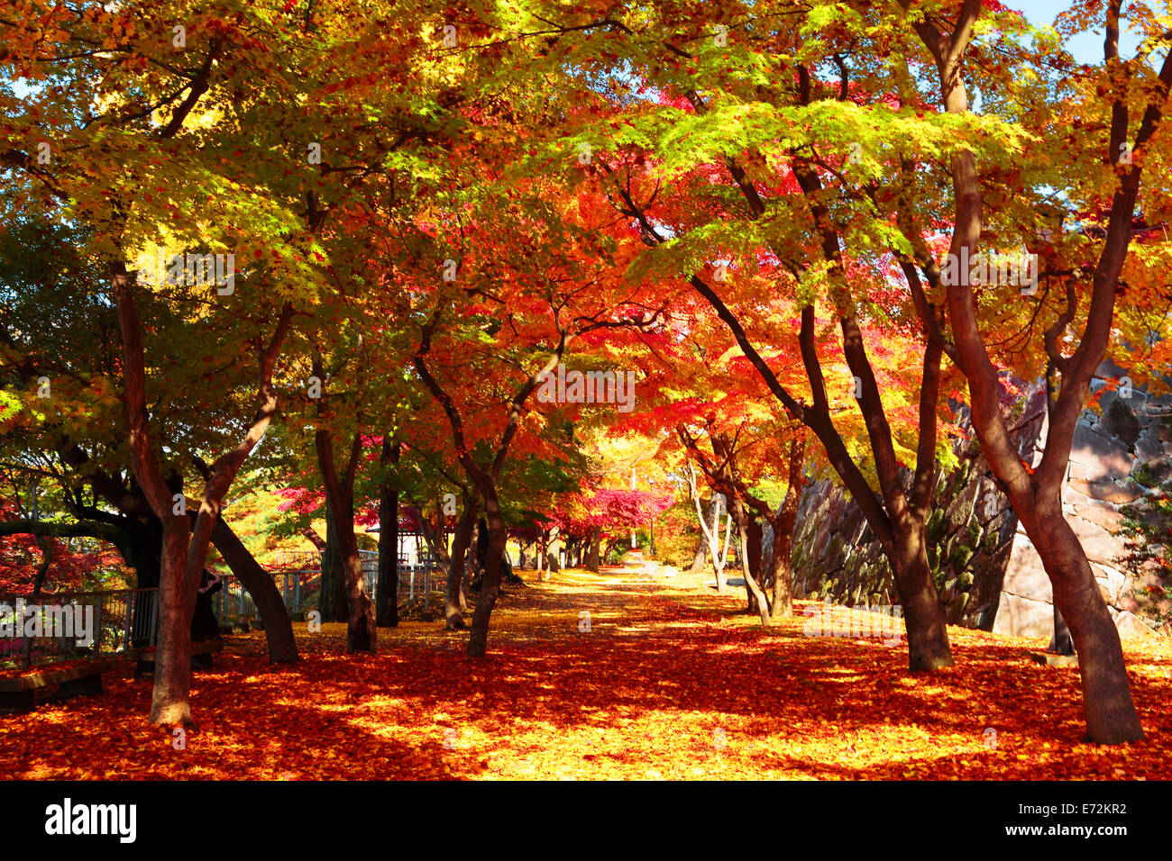 Morioka hi-res stock photography and images - Alamy