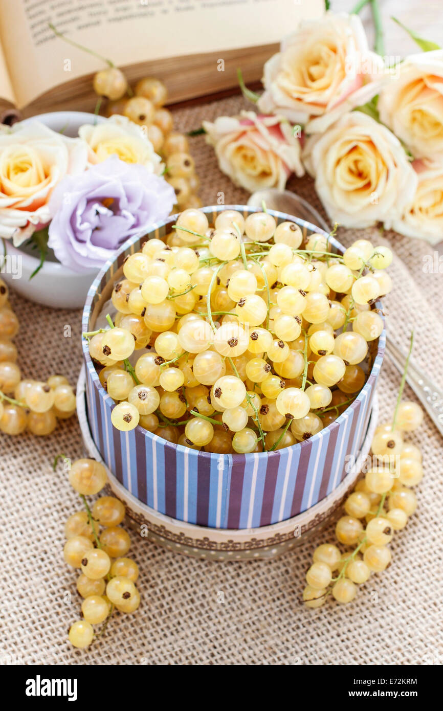 White currant. Summer healthy fruits Stock Photo - Alamy