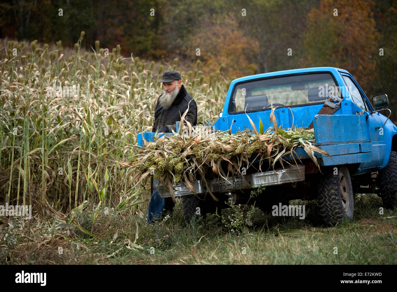 USA - Tennessee - Muddy Pond - John Guenther, farmer and owner of a ...
