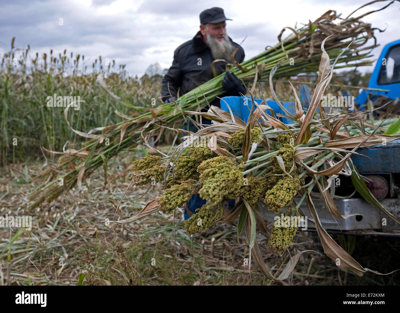 USA - Tennessee - Muddy Pond - John Guenther, farmer and owner of a ...