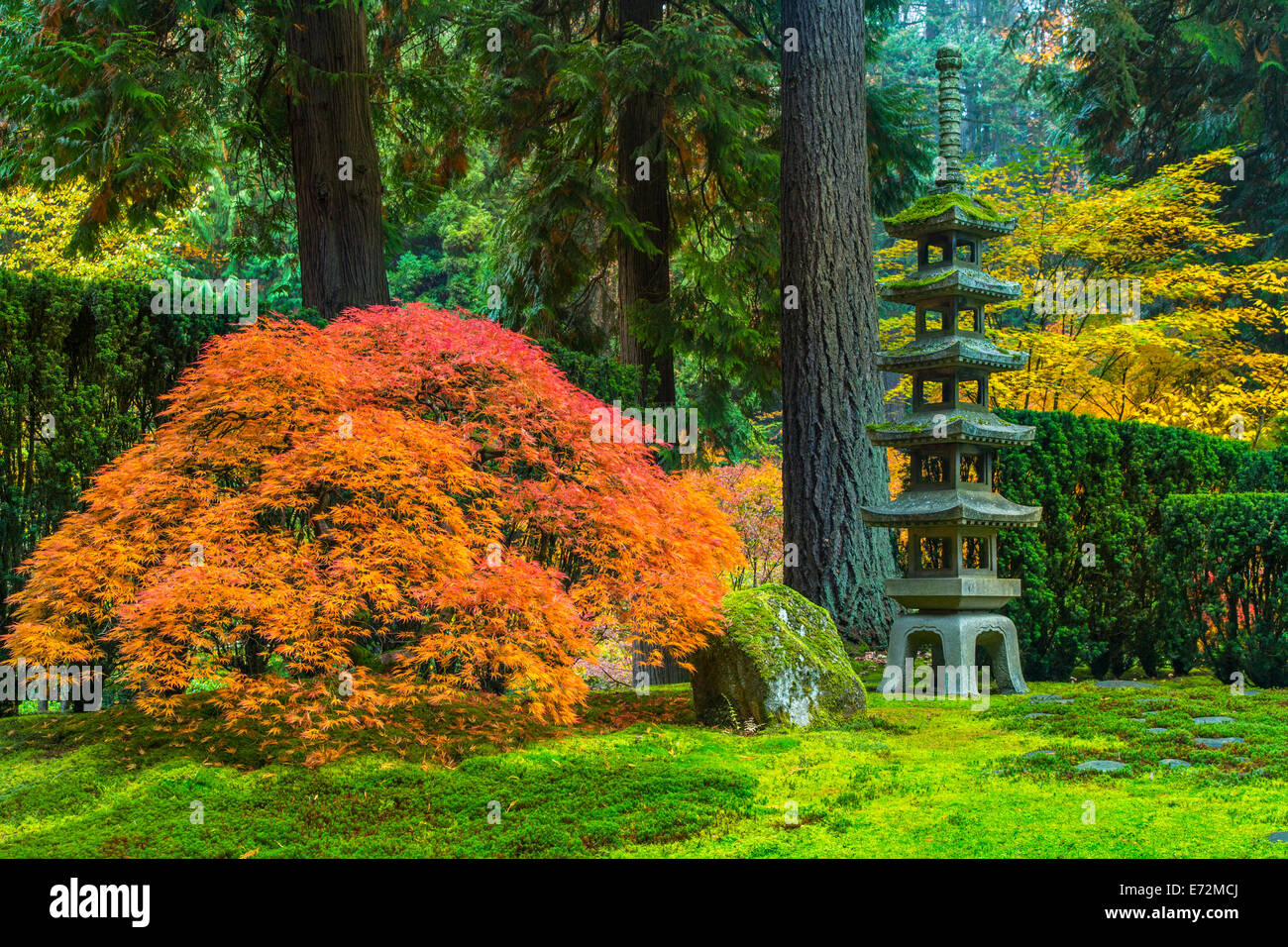 Portland japanese gardens hi-res stock photography and images - Alamy