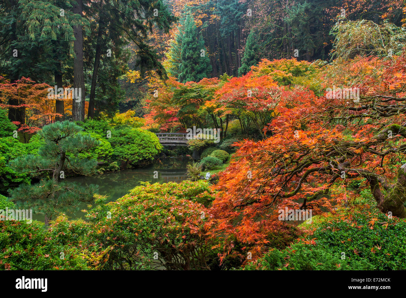 Portland japanese gardens hi-res stock photography and images - Alamy