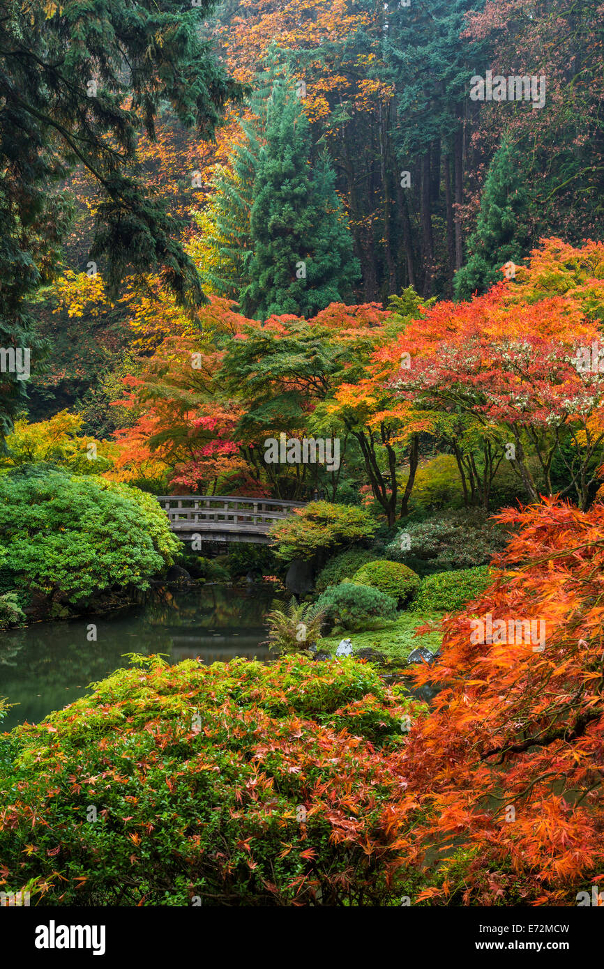 Japanese Gardens in autumn in Portland, Oregon, USA Stock Photo - Alamy