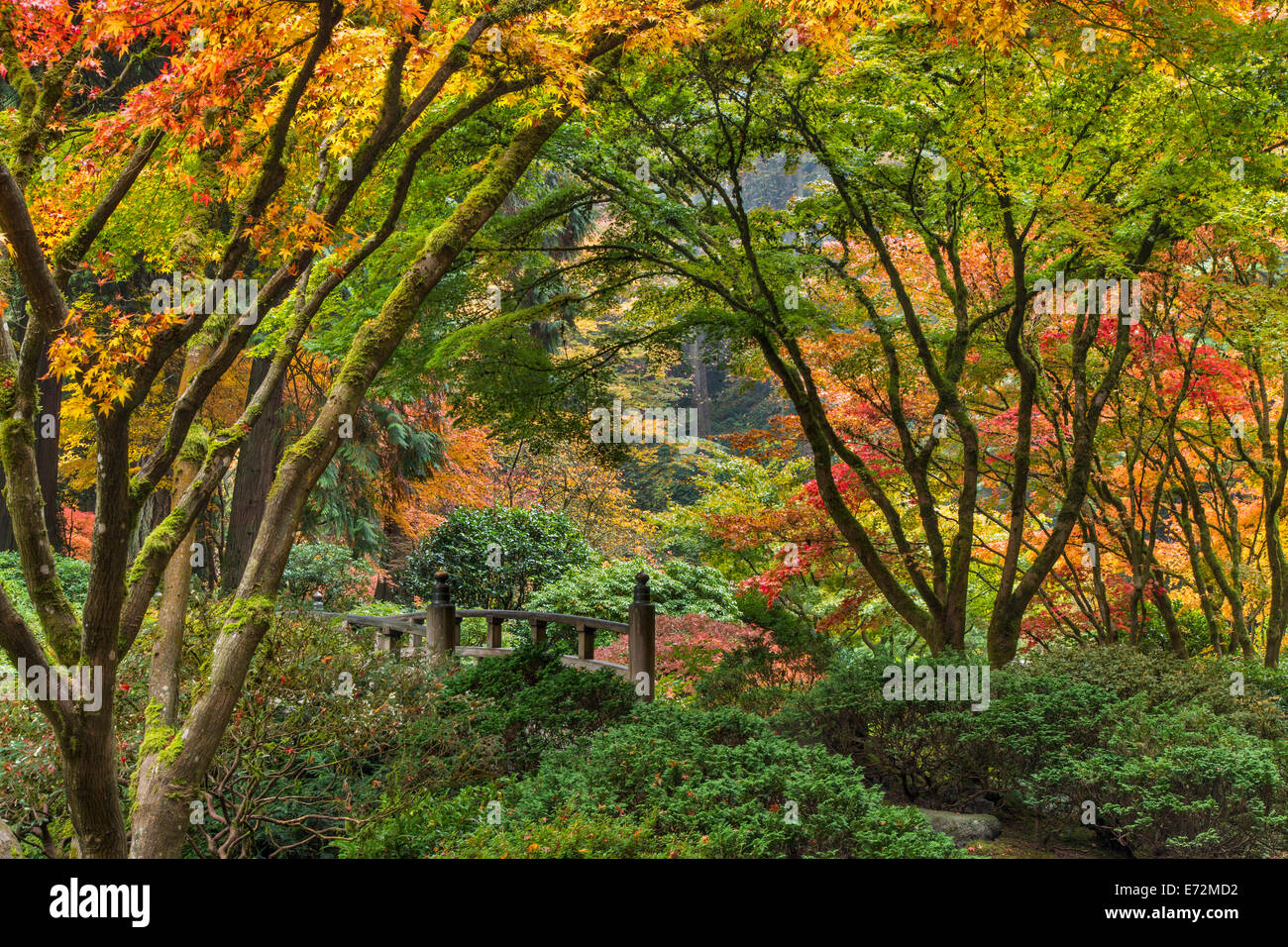 Portland japanese gardens bridge hi-res stock photography and images ...