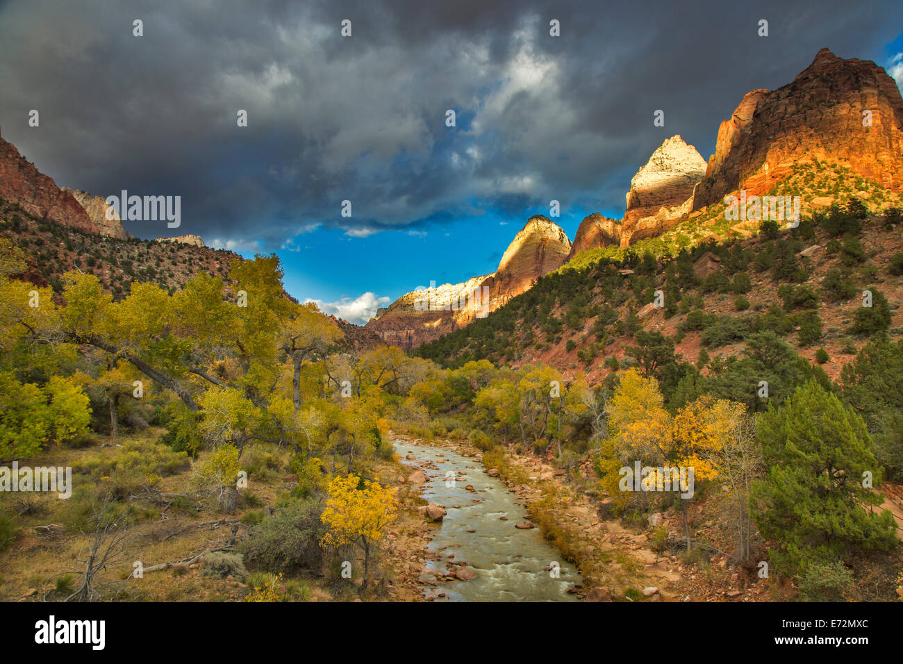 The Virgin River in autumn under dramatic storm clouds in Zion National ...