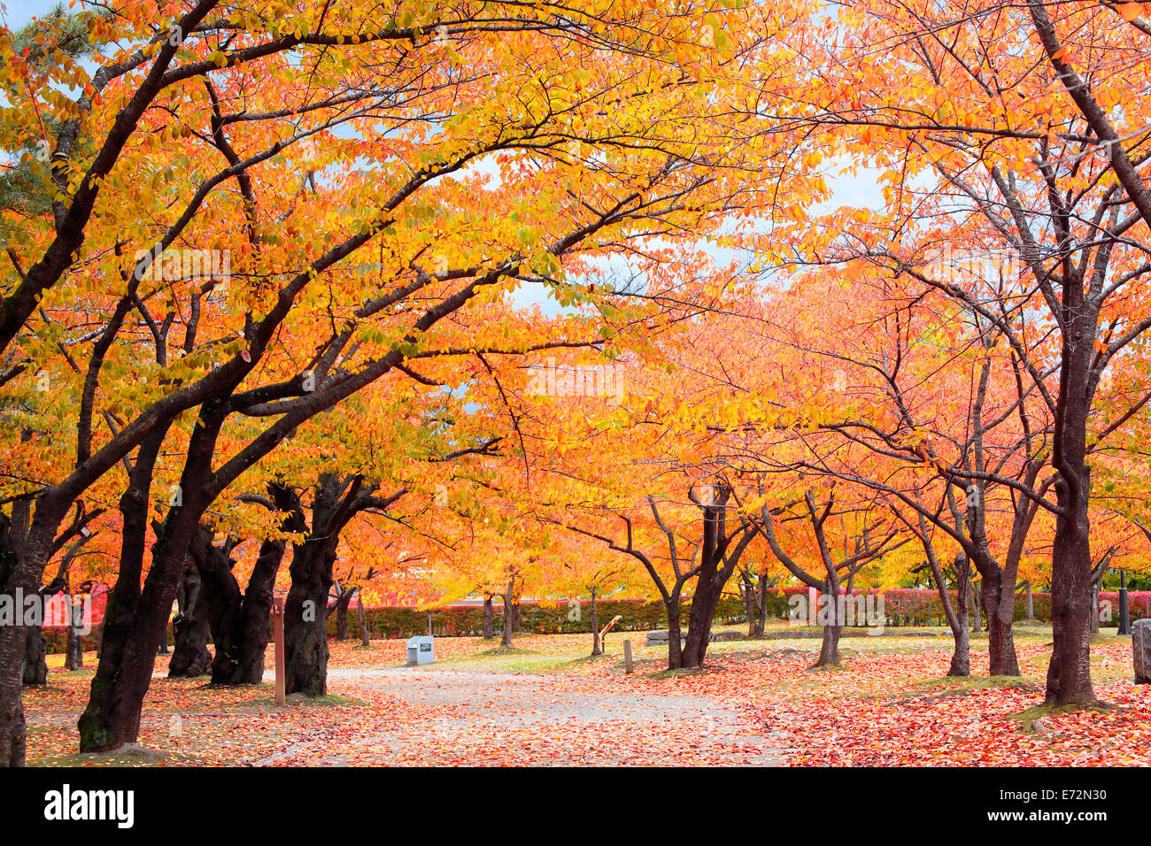 Morioka castle ruins hi-res stock photography and images - Alamy