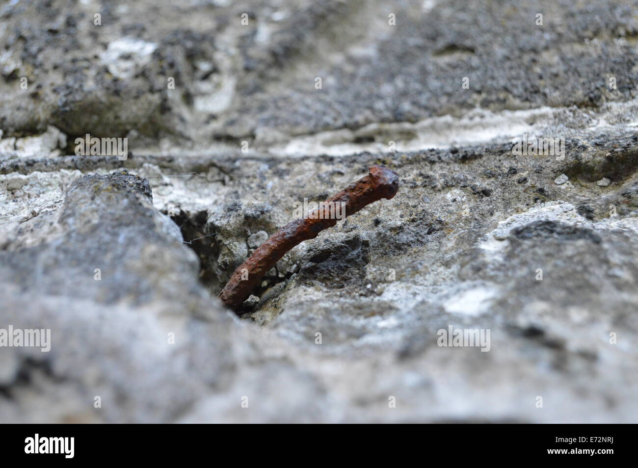 rusty nail in a wall Stock Photo - Alamy