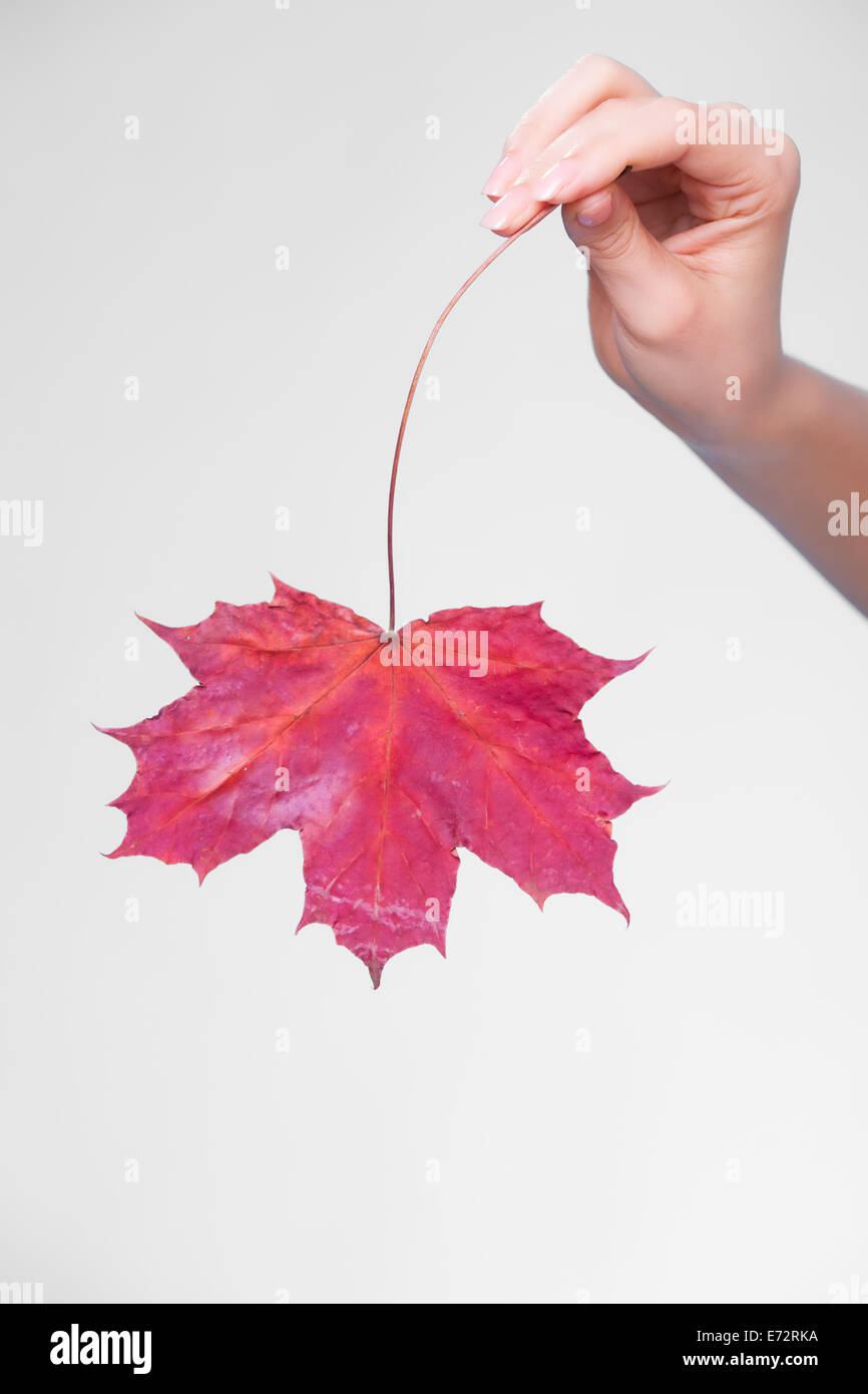 Skincare. Female hand holding leaf as symbol of red dry capillary skin ...