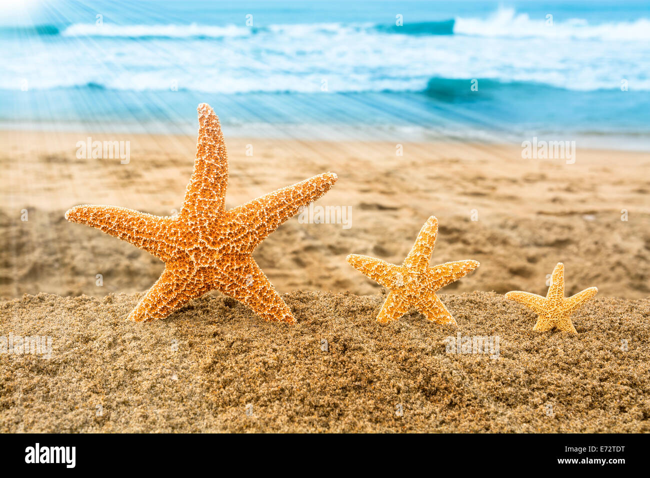 Conceptual image of three golden starfish in the sand overlooking a ...