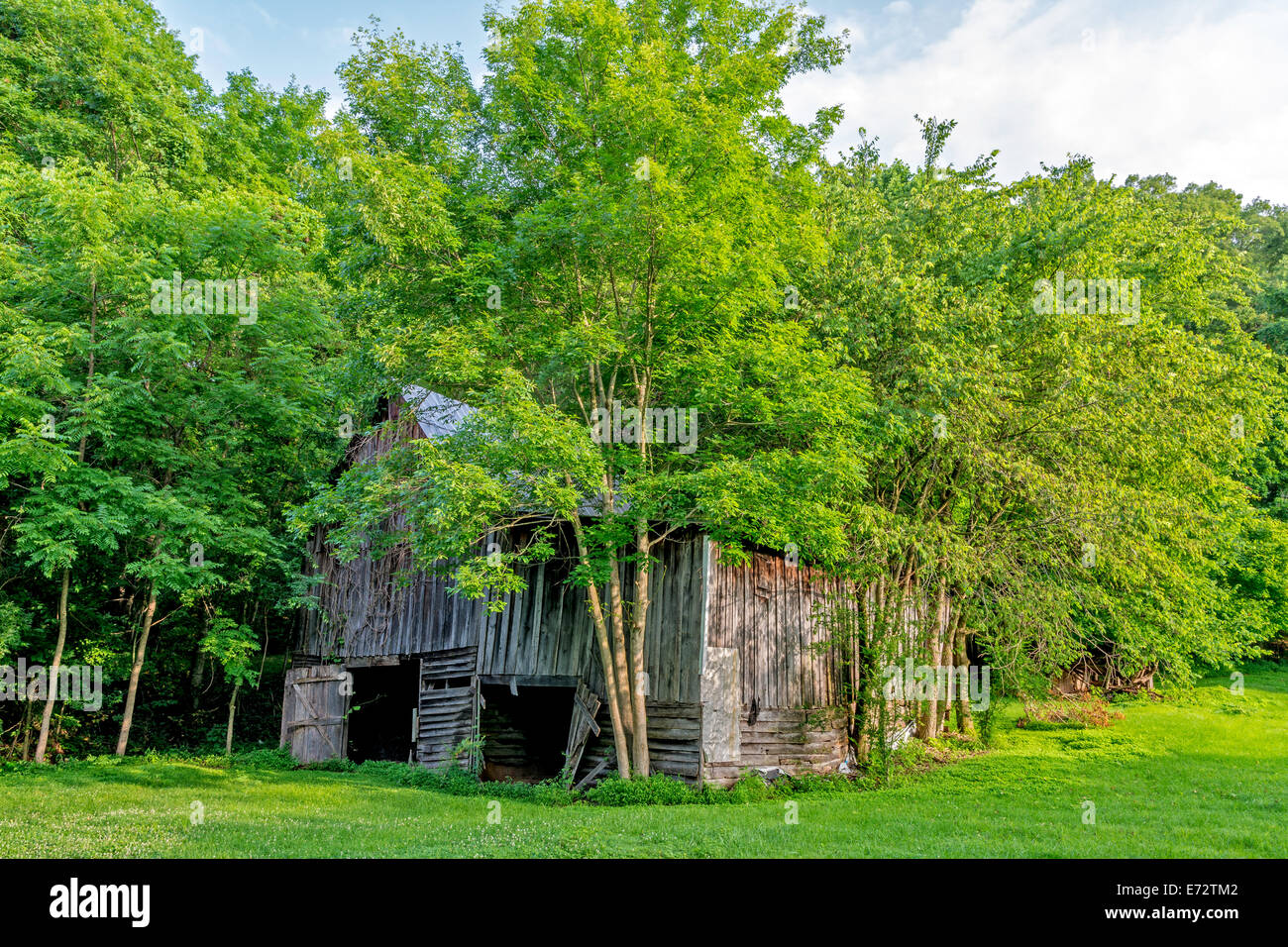 Alabama agriculture hi-res stock photography and images - Alamy