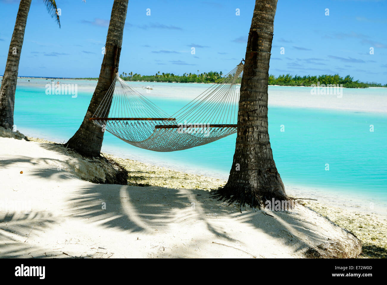 Hammock strung between Coconut palms on tropical island beach Stock Photo - Alamy