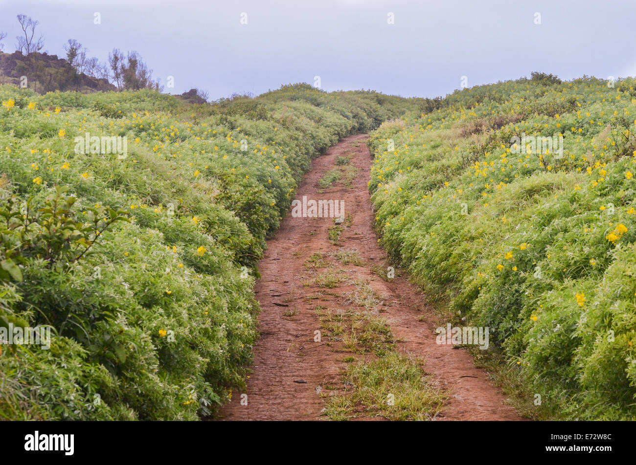 Rano kao volcano hi-res stock photography and images - Alamy