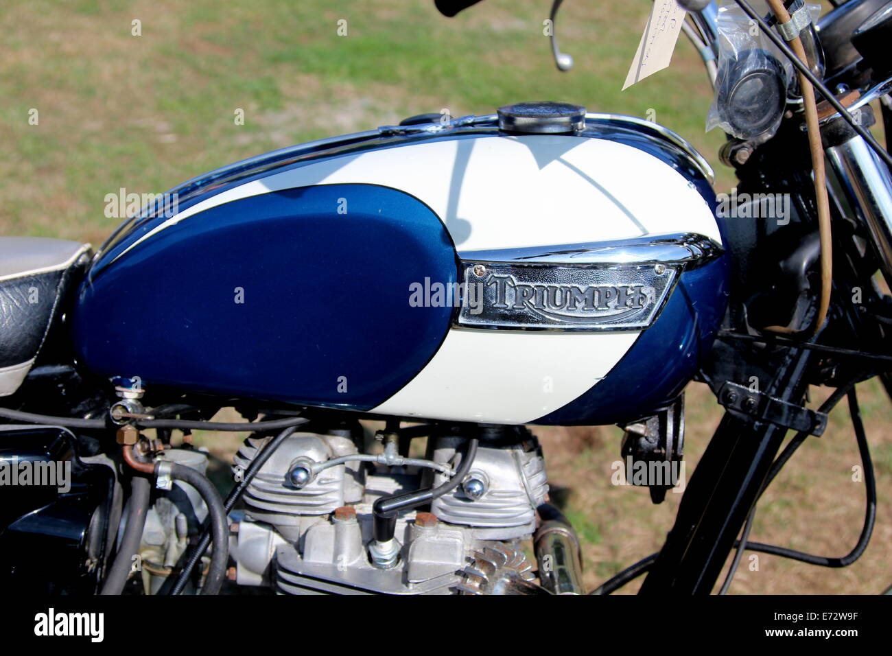 Petrol tank of a Triumph motorbike Stock Photo - Alamy