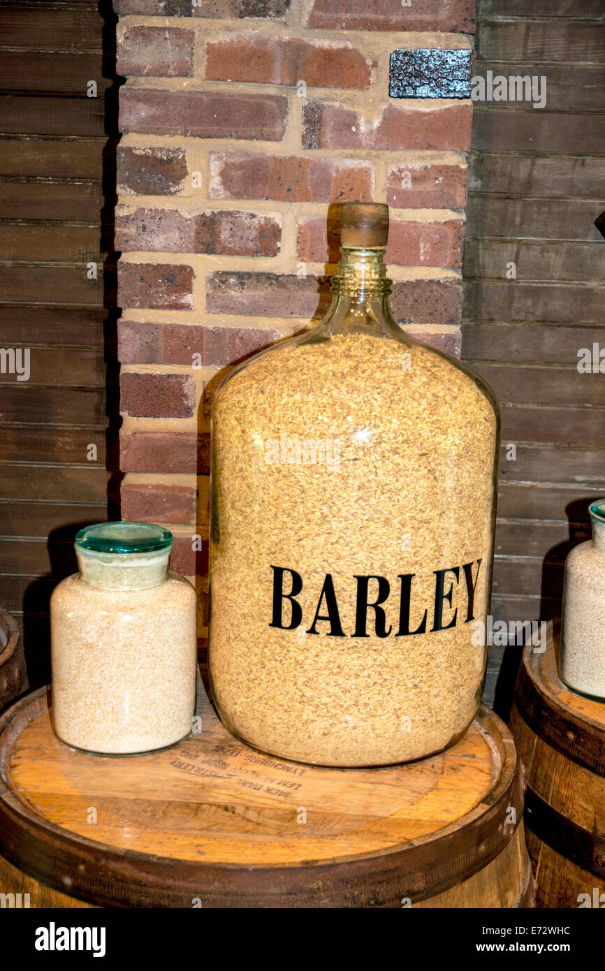 Large glass bottle filled with Barley grain Stock Photo - Alamy