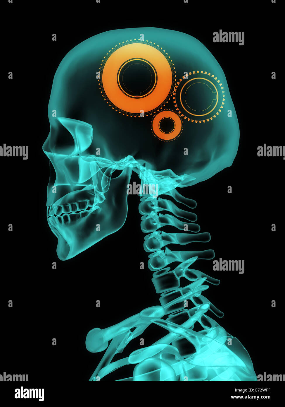 Gears in head brain hi-res stock photography and images - Alamy