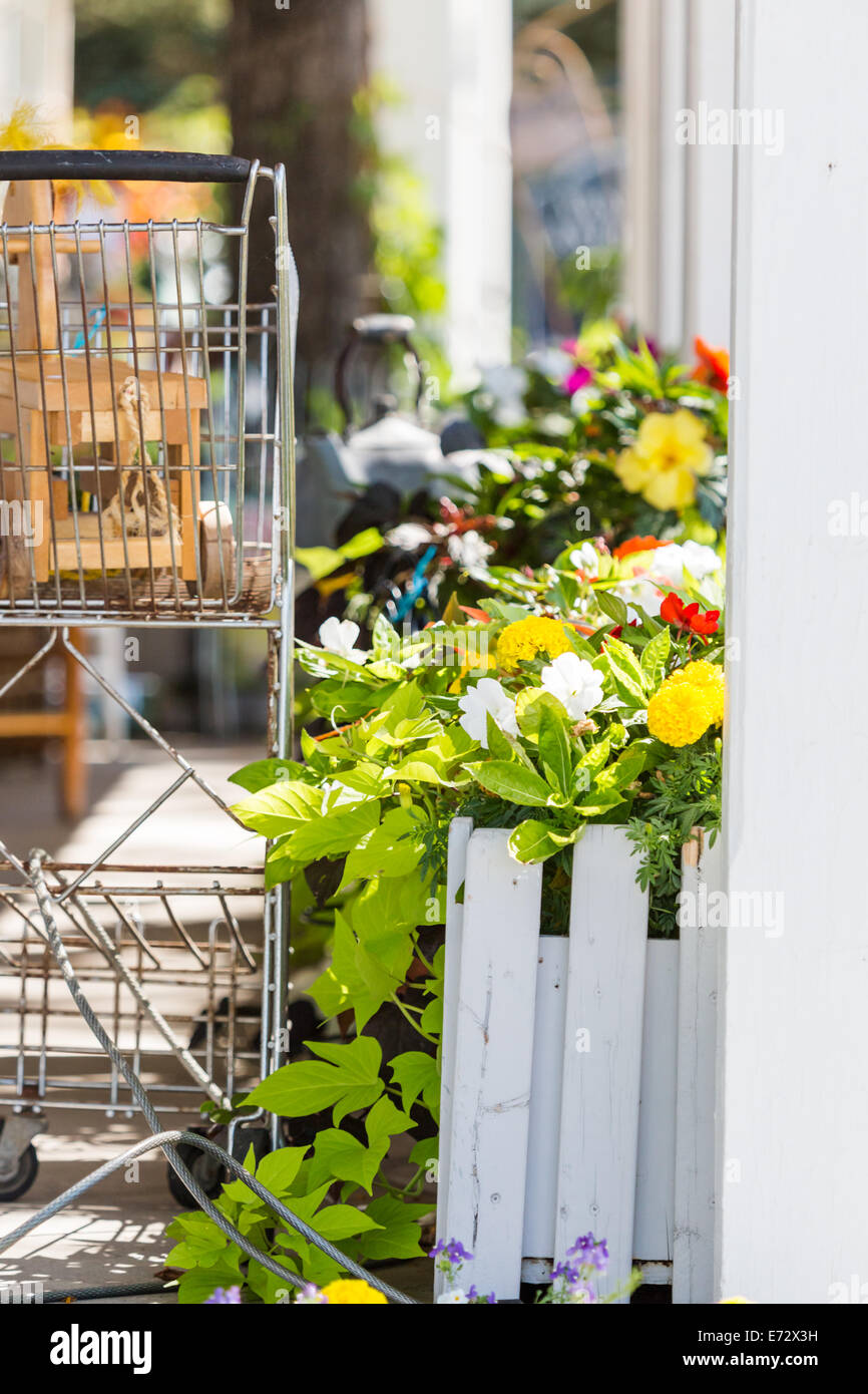 Main street of historic downtown Littleton, Colorado Stock Photo - Alamy