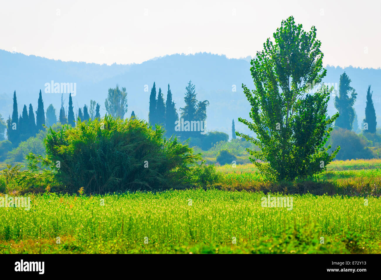 beautiful green landscape of the southern countries Stock Photo - Alamy