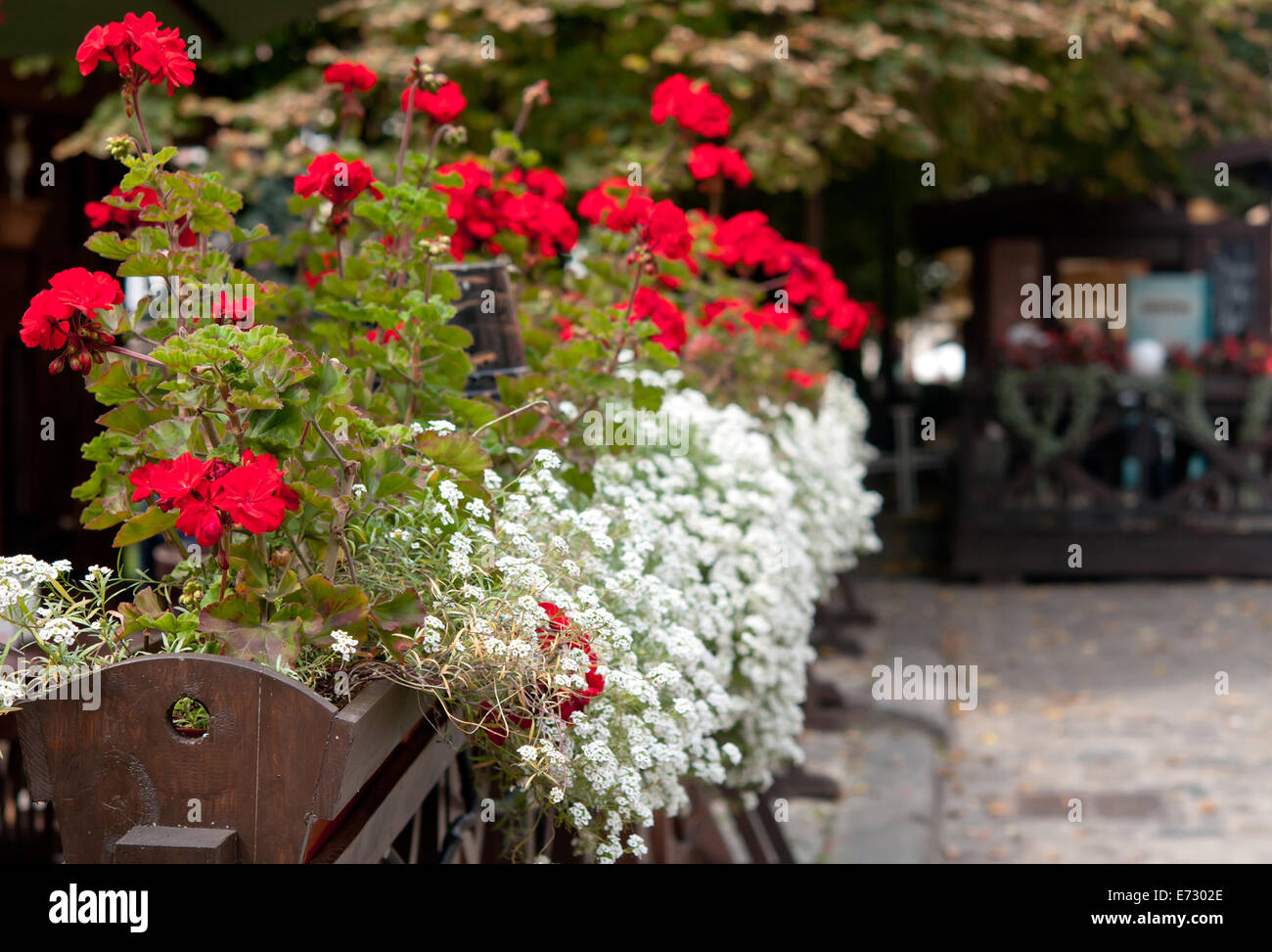 decorated with flower baskets restaurant Stock Photo - Alamy