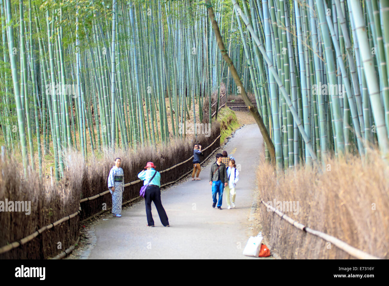 Sagano bamboo forest, kyoto, japan hi-res stock photography and images ...