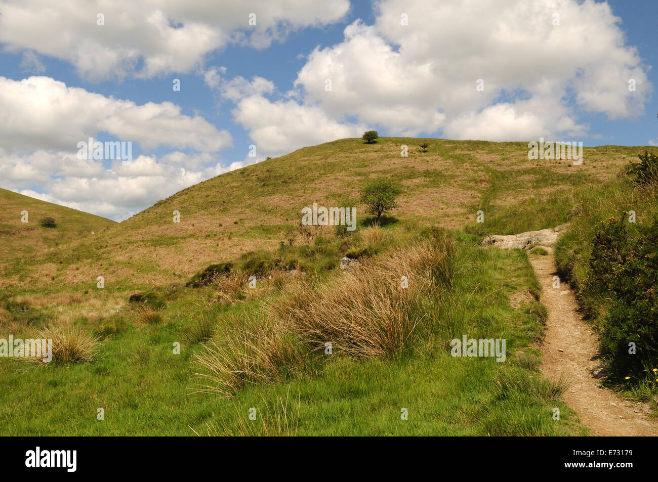Footpath to Cow Castle Simonsbath Exmoor National Park Devon England UK ...