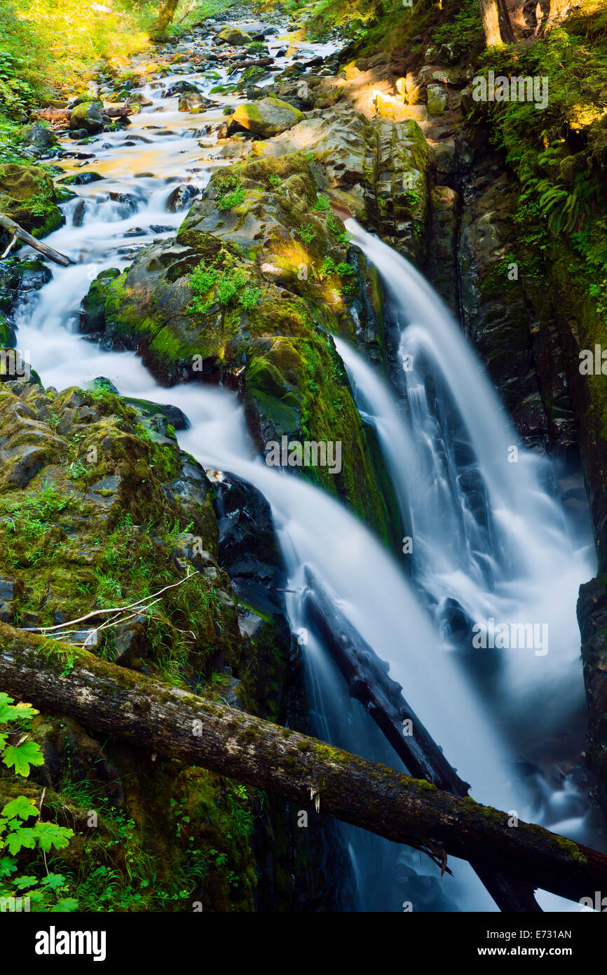 Sol Duc Falls Stock Photo - Alamy