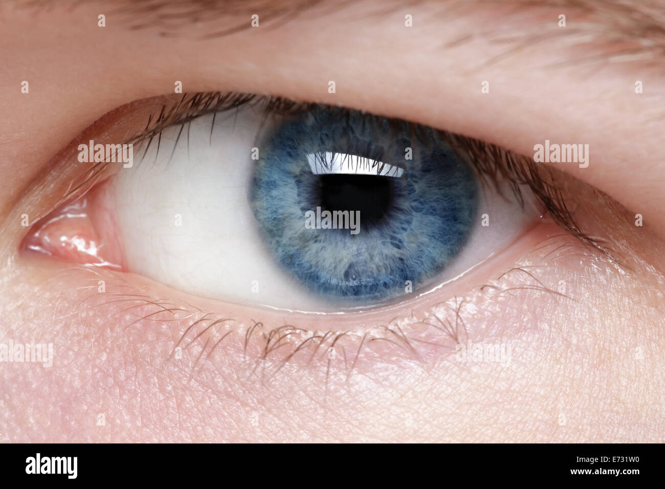 blue eye of young man, close up macro photo Stock Photo - Alamy