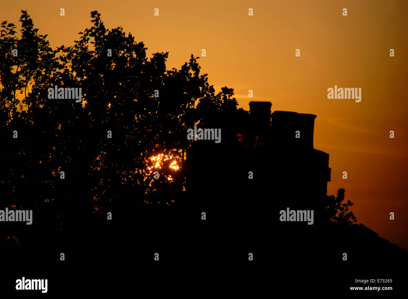 Sunset Behind A Tree & House Rooftop Stock Photo - Alamy