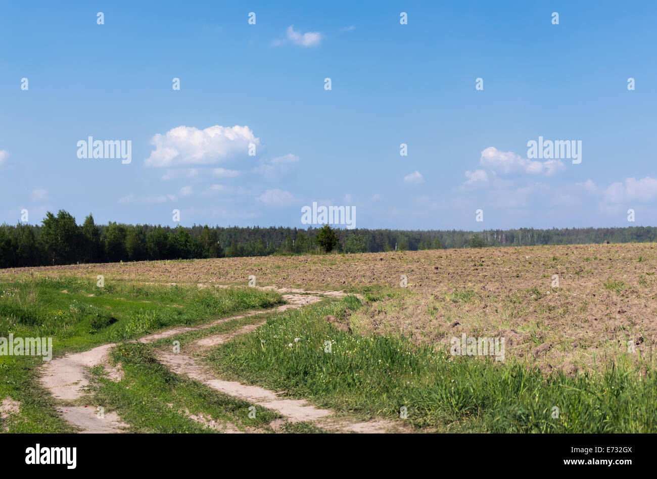 Arable landscape with country road in Russia Stock Photo - Alamy