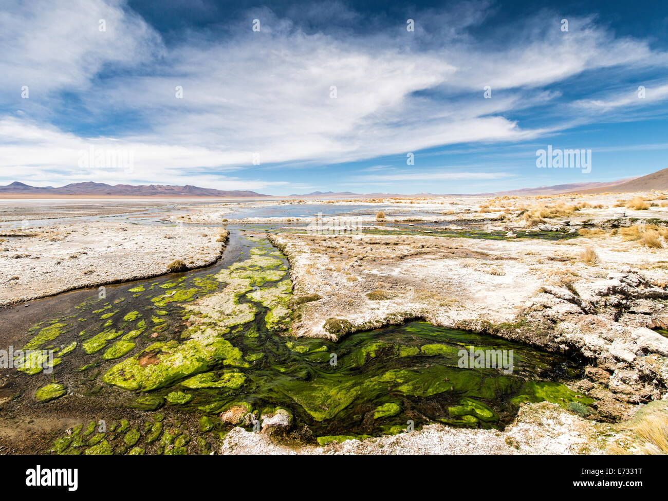 Salt plains hi-res stock photography and images - Alamy