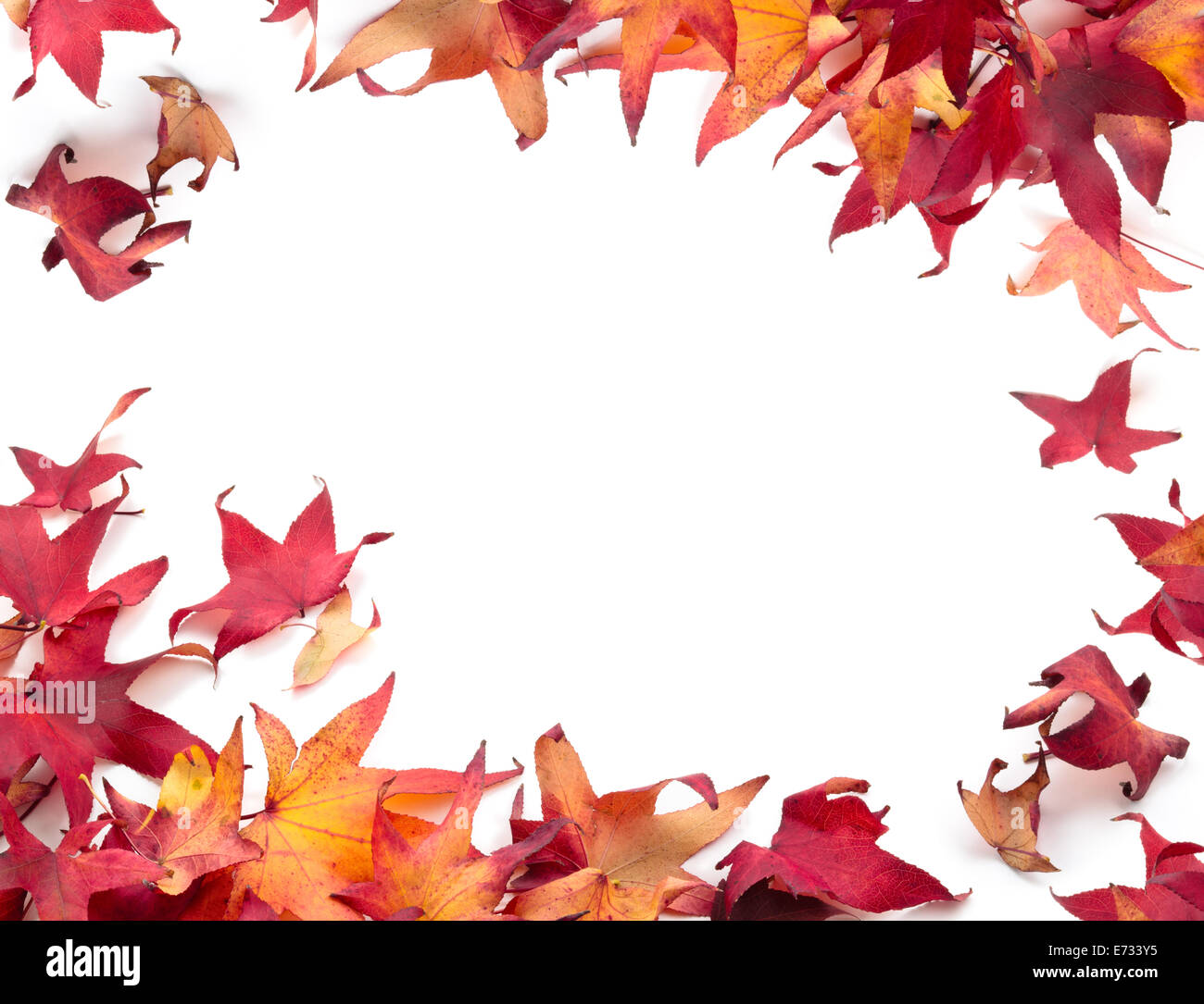 Maple leaf border hi-res stock photography and images - Alamy