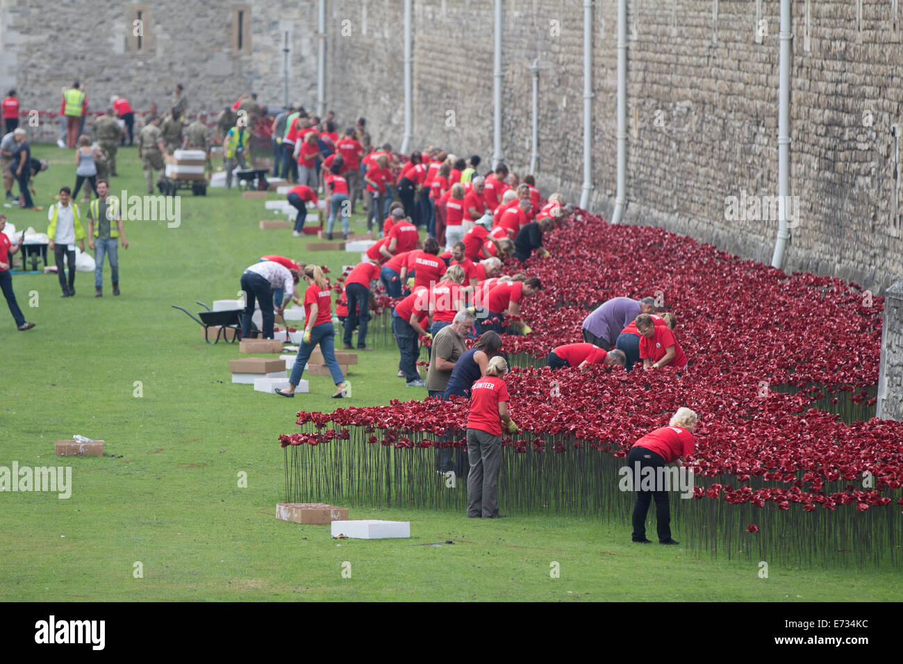 Poppy Display Tower London Commemorate High Resolution Stock ...