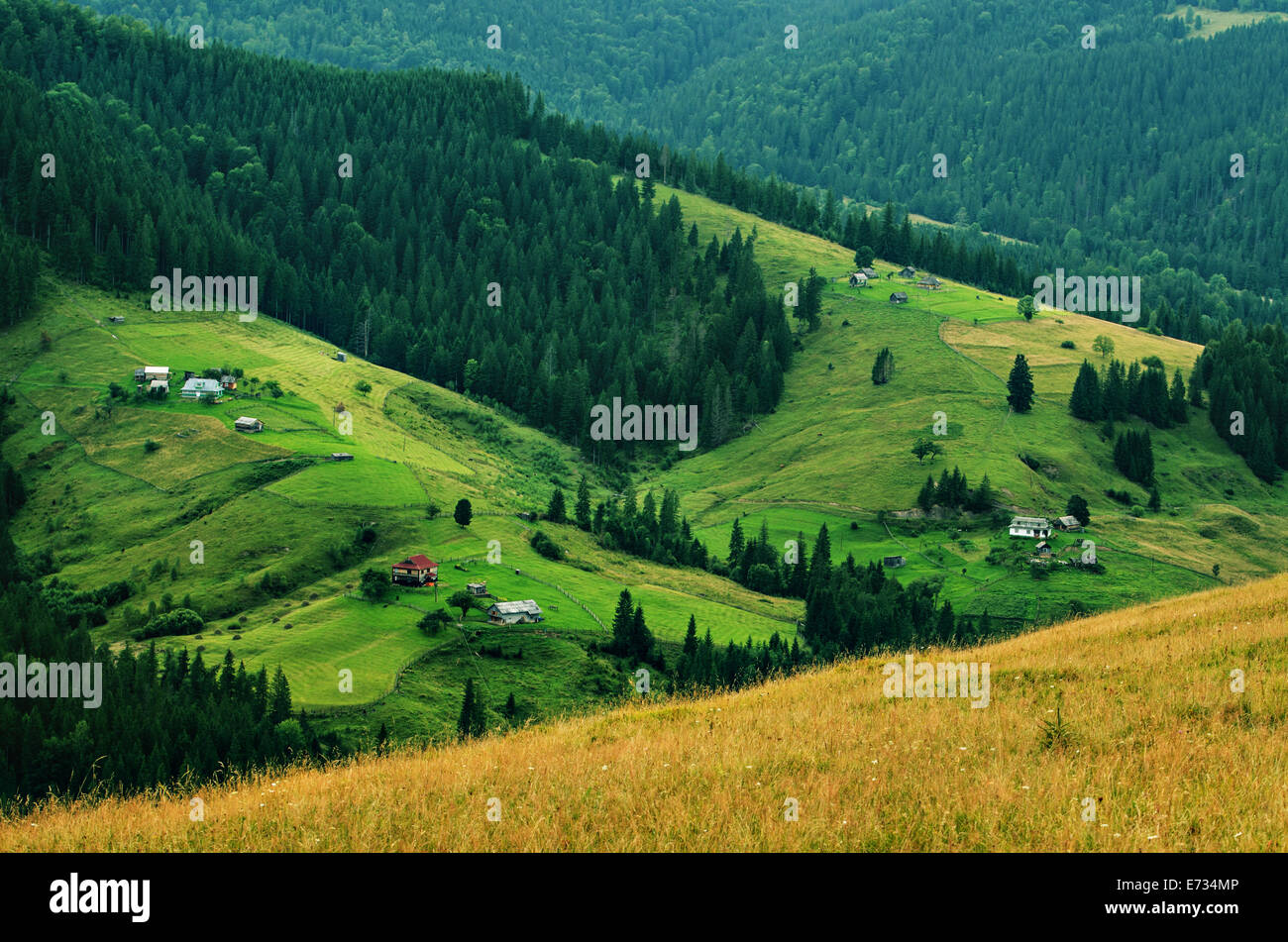 Carpathian mountain landscape with tree Stock Photo - Alamy
