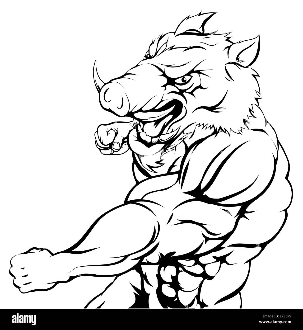 Angry razorback wild pig hog hi-res stock photography and images - Alamy