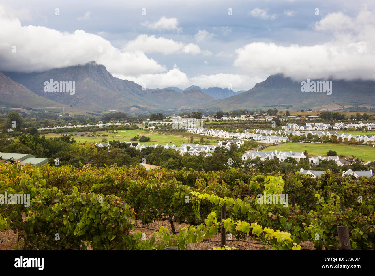 Stellenbosh golf estate hi-res stock photography and images - Alamy