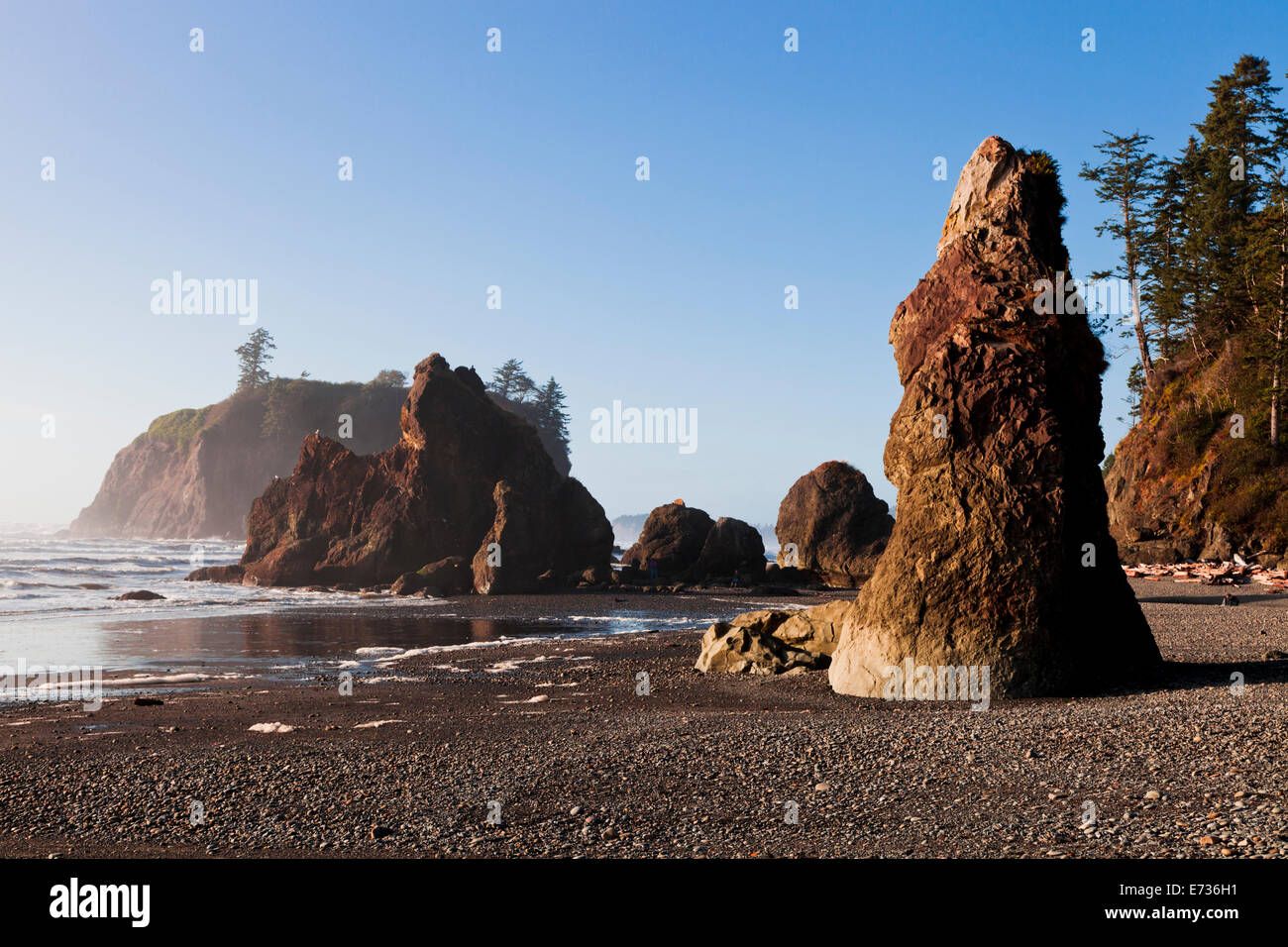 Sea stacks on Ruby Beach in the Olympic National Park early evening ...