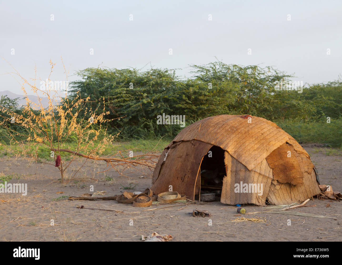 Afar ethiopia nomad hi-res stock photography and images - Alamy