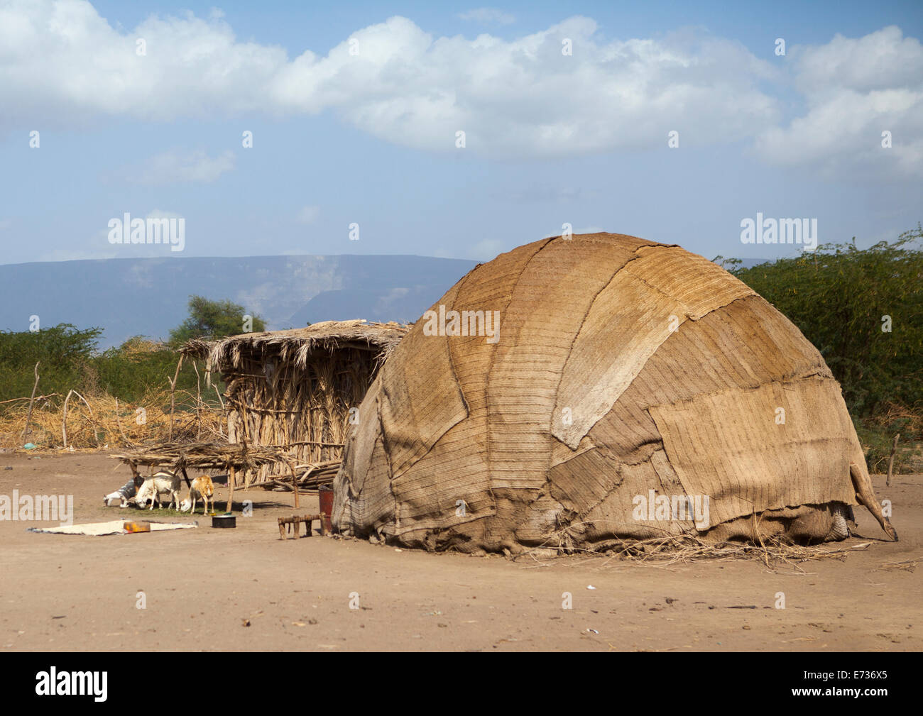 Afar Tribe Homesteads, Afambo, Ethiopia Stock Photo - Alamy