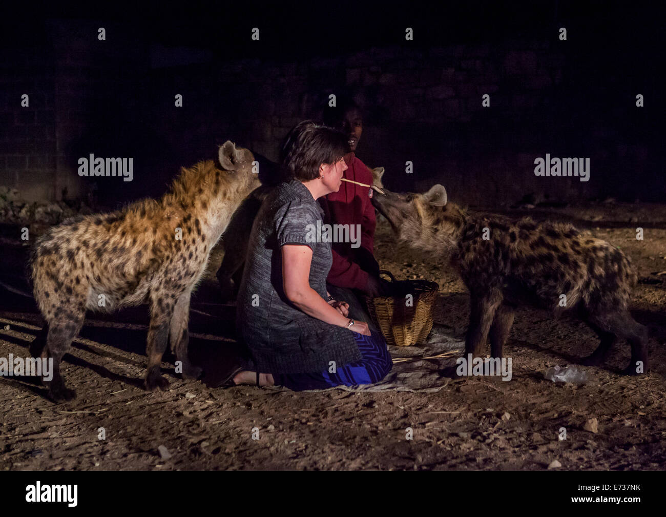 Hyena feed hi-res stock photography and images - Alamy