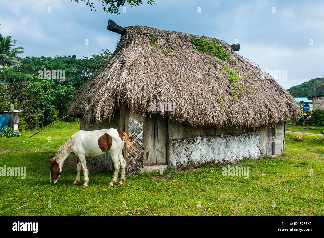 Fiji traditional house High Resolution Stock Photography and Images - Alamy