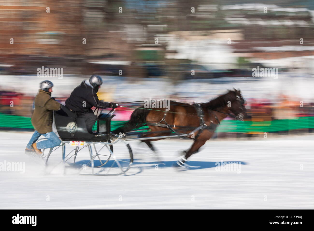 Sleigh race, Quebec Winter Carnival, Quebec City, Quebec, Canada, North ...