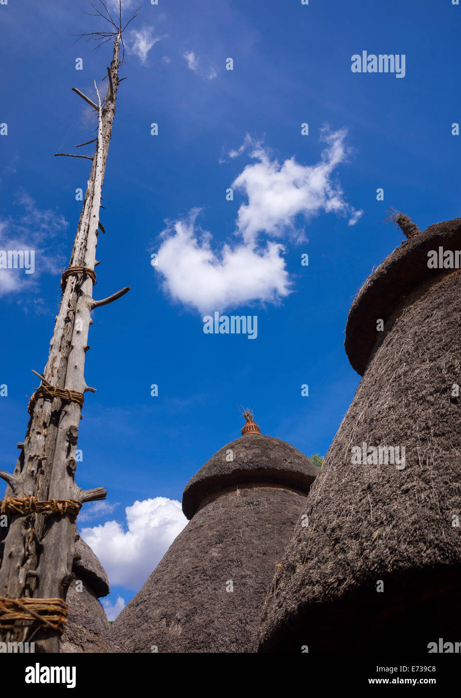 African tribe pole hi-res stock photography and images - Alamy